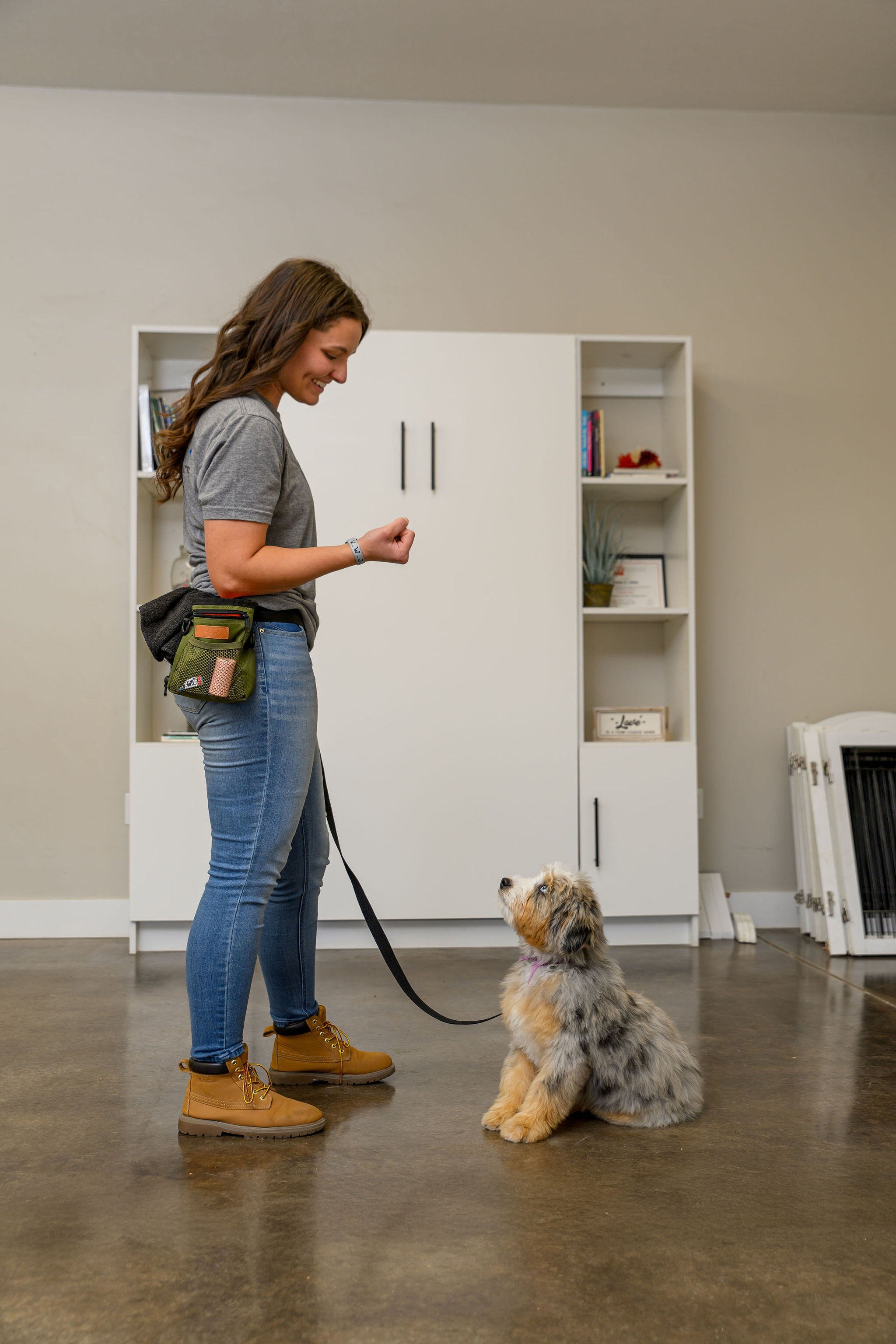 Puppy Steps Training | Home